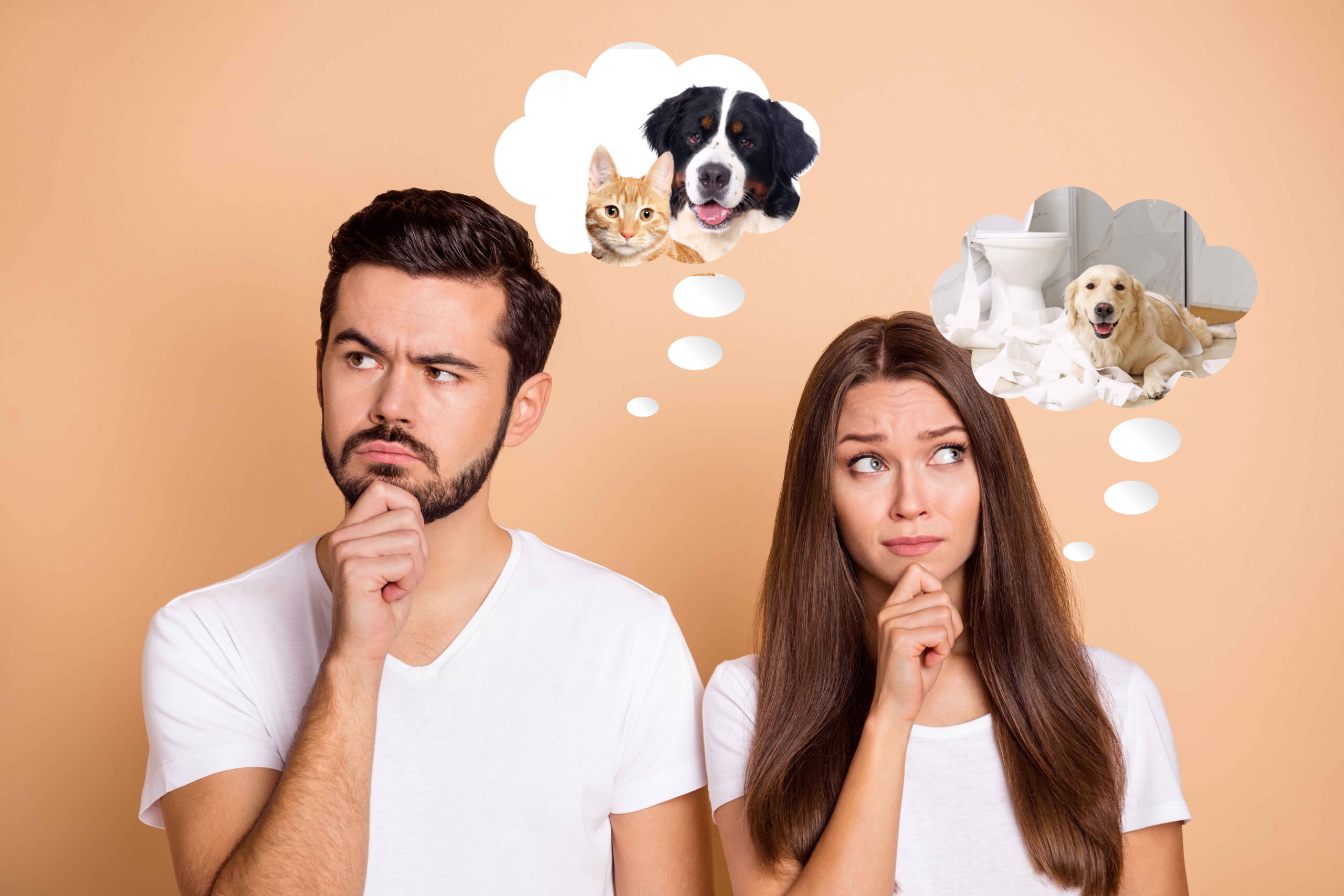 I Love Pets Let s Just Adopt A Dog Or Cat Pet Boarding Near Me For Dogs I Love Pets Let s Just Adopt A Dog Or Cat Pet Boarding Near Me For Dogs