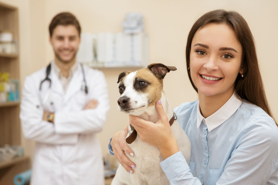Top 6 Ways to Prepare Your Pet for Vet Visit - Pet Services at your ...
