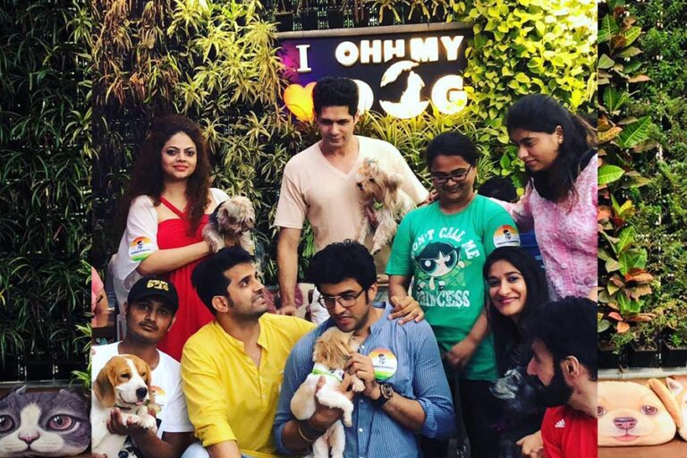 Part 1: 5 Pet-Friendly Cafes in India - Pet Services at your doorstep